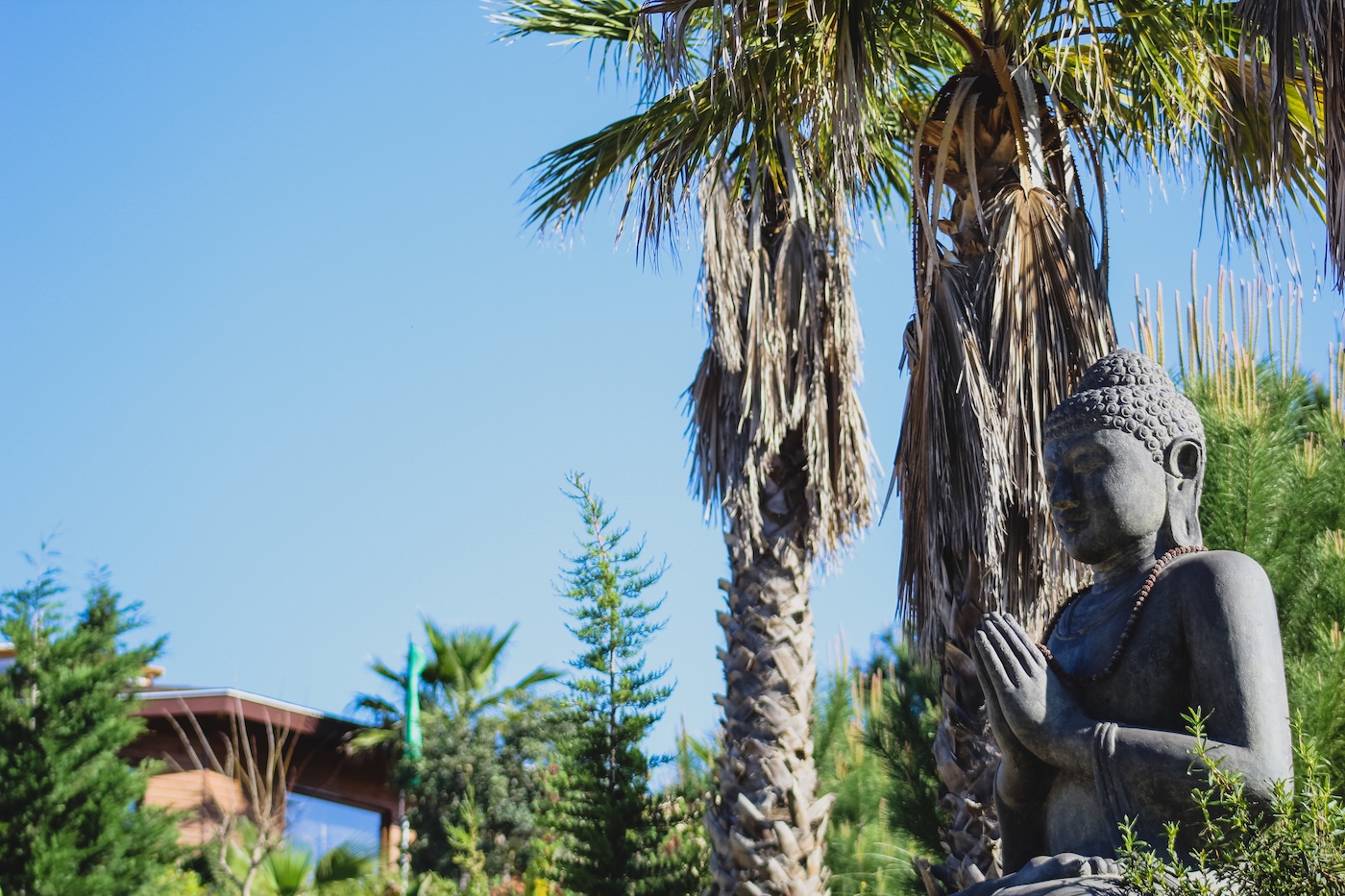 Monte Sahaja - Mooji