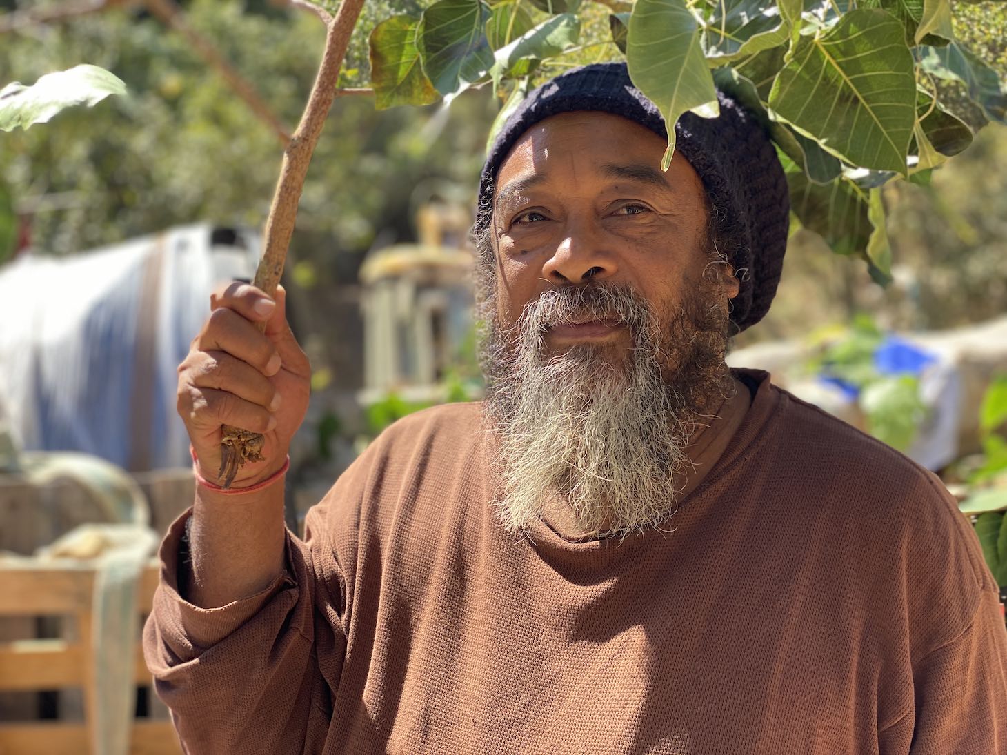 Quote Of The Day Mooji
